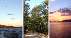 5 Atractivos naturales de la Perla Tapatía - Zona Guadalajara