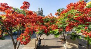 Las 10 calles más bonitas de Guadalajara
